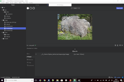 Go言語で特定のサイトの複数の画像を取得する - saitodev.co