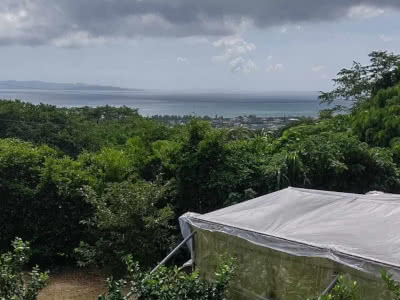 シークヮーサーの園地は海が見える山のところ - saitodev.co